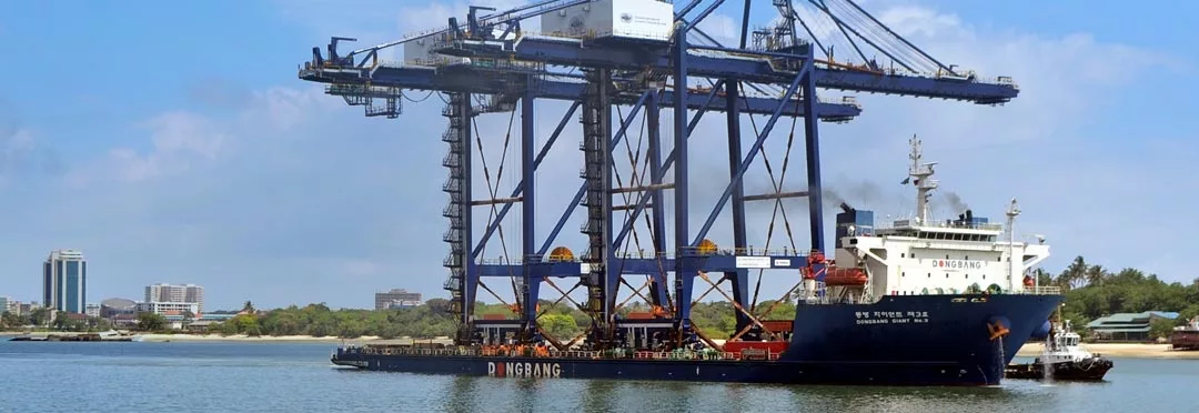 Tanzania International Container Terminal Services