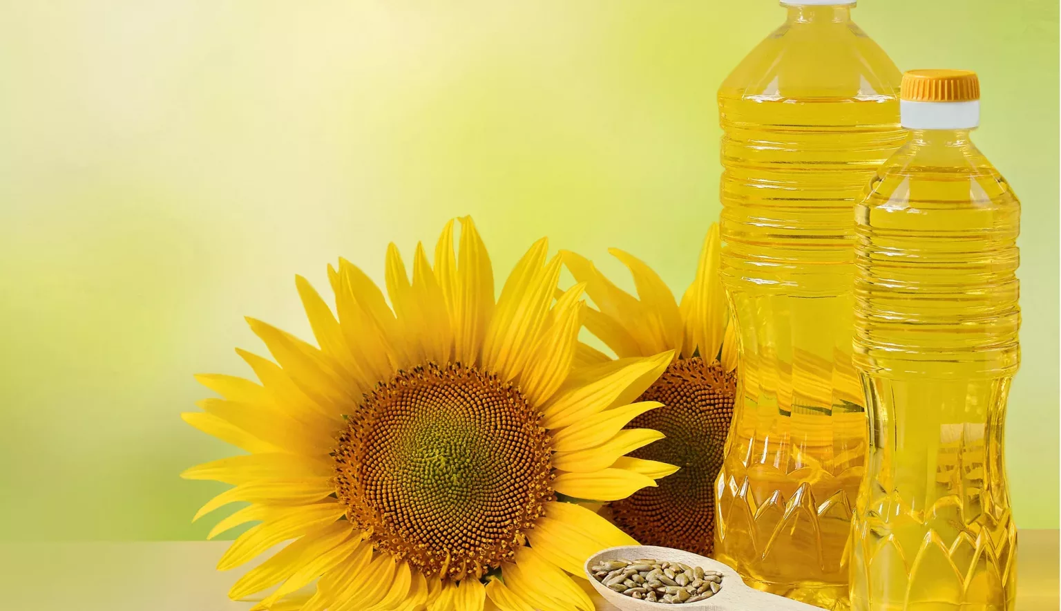 Sunseed Group | Corporate Story | Africa Outlook Magazine