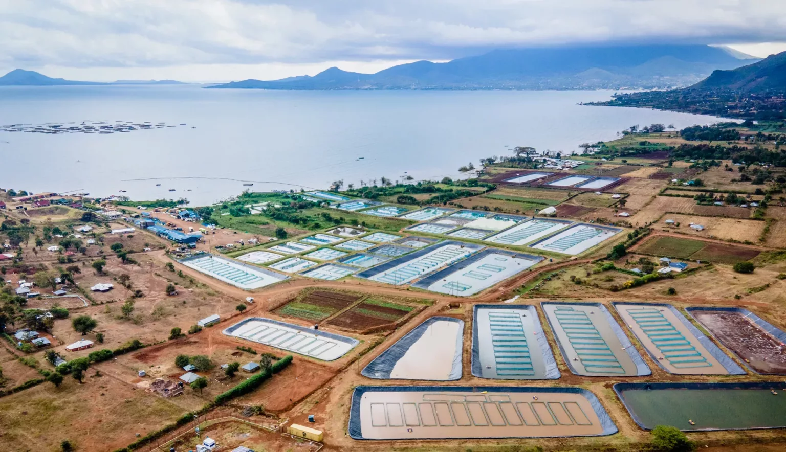 Victory Farms Kenya | Corporate Story | Africa Outlook Magazine