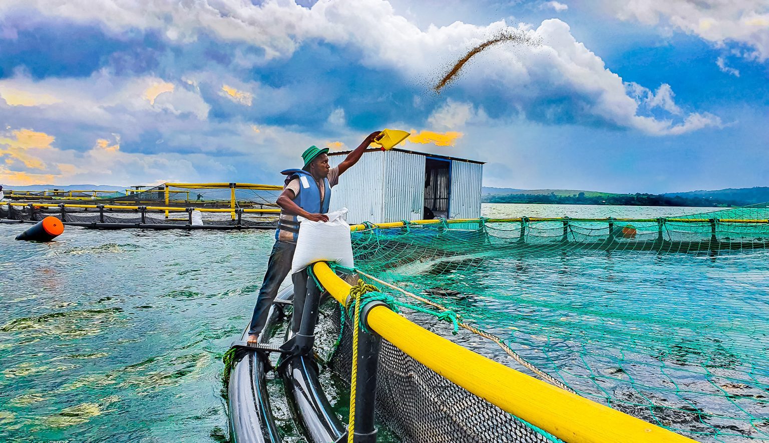 Yalelo Uganda | Corporate Story | Africa Outlook Magazine