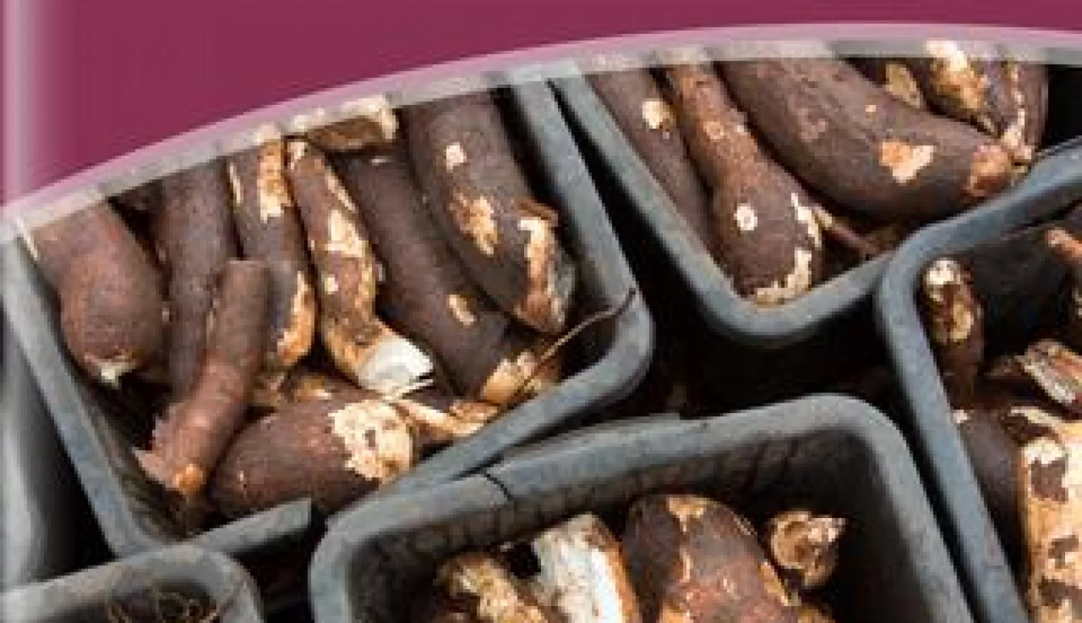 Philafrica Foods : Food Across Africa