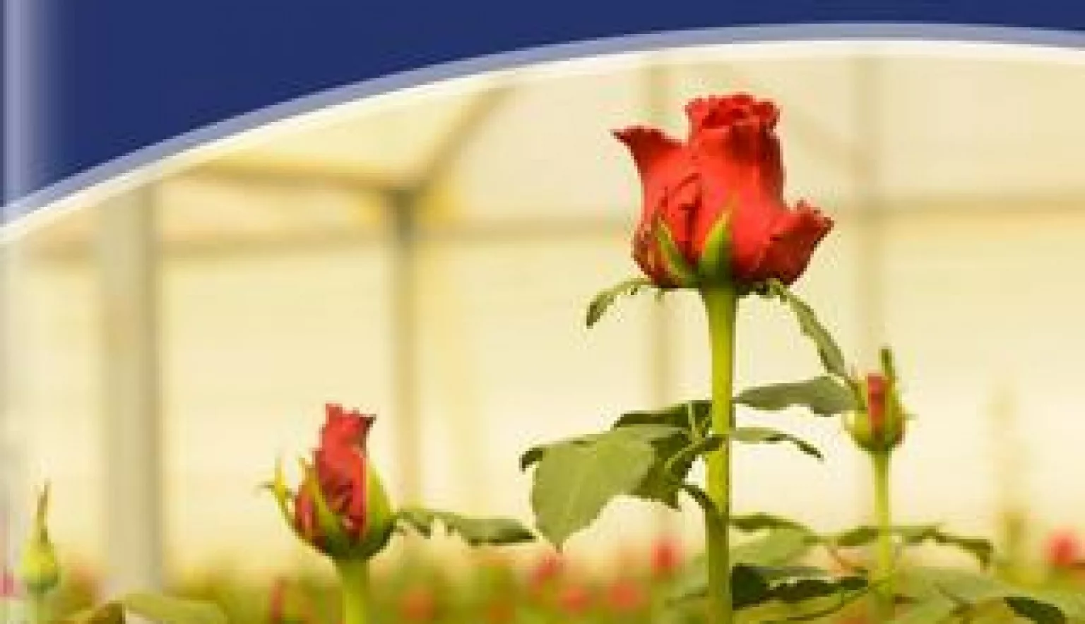 PJ Dave Group : Ahead of the Best