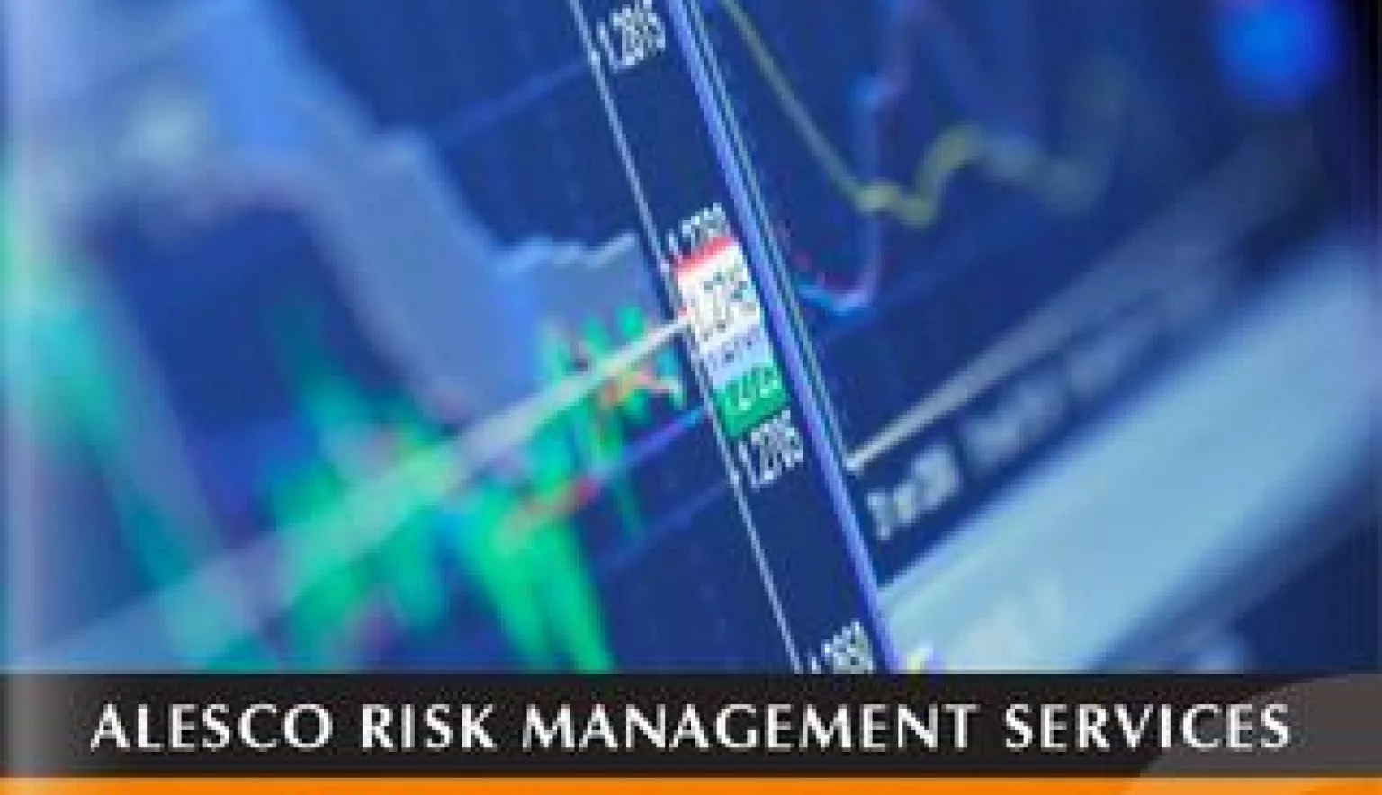 Alesco Risk Management Services : A Truly Personal Service