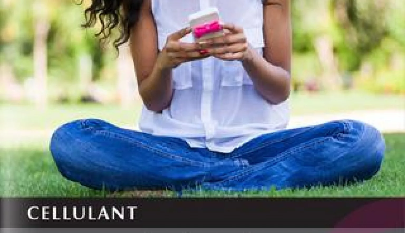 Cellulant : A Leader in Mobile Africa