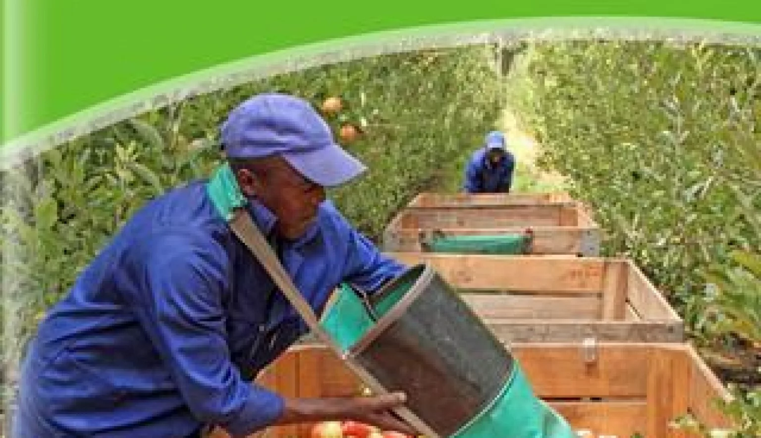 Fruitways : Evolving from the Core