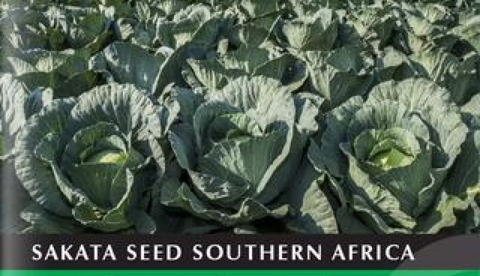 Sakata Seed Southern Africa : Quality, Reliability and Service