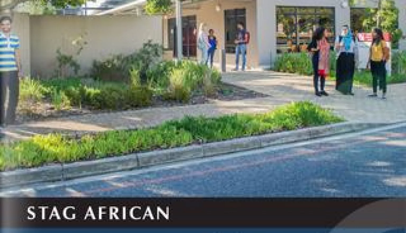 STAG AFRICAN : The Green Light for International Expansion