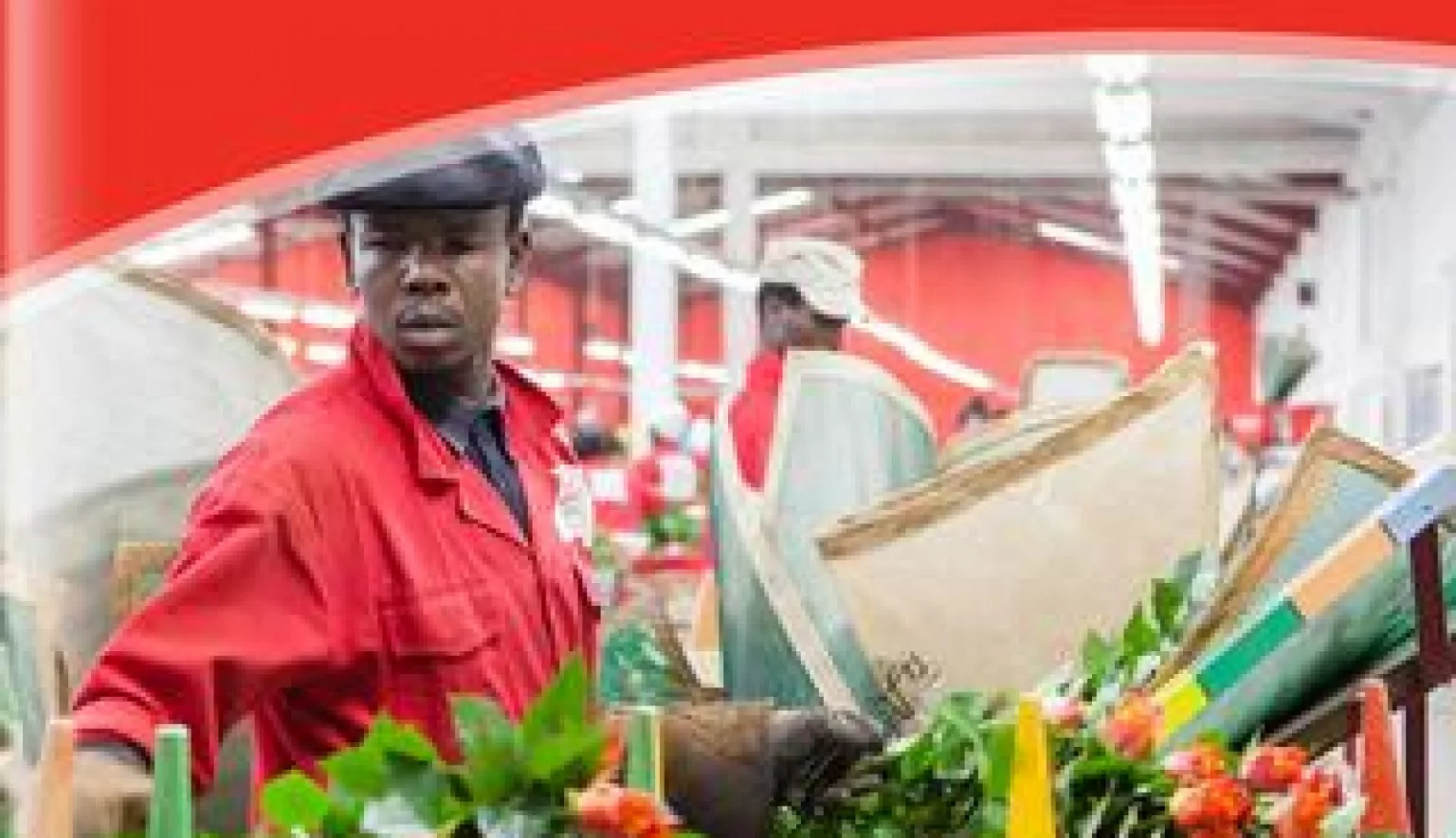 Subati Flowers Ltd : Pure Expressions