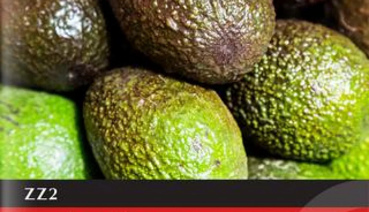 ZZ2 : Practices for Long-Term Value - Company Profiles