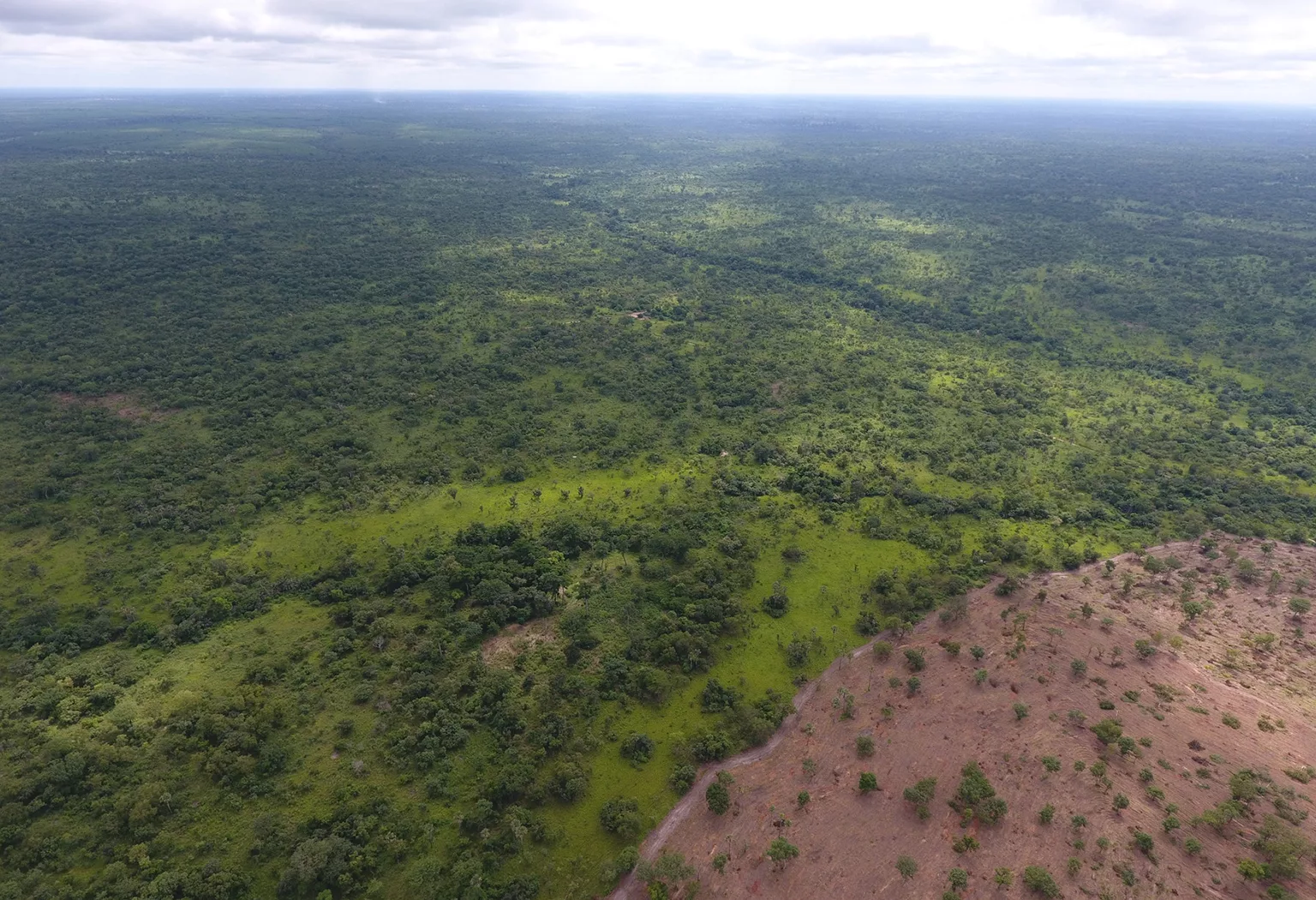 AstraZeneca : Optimising Kenya’s Reforestation - Africa Outlook Magazine