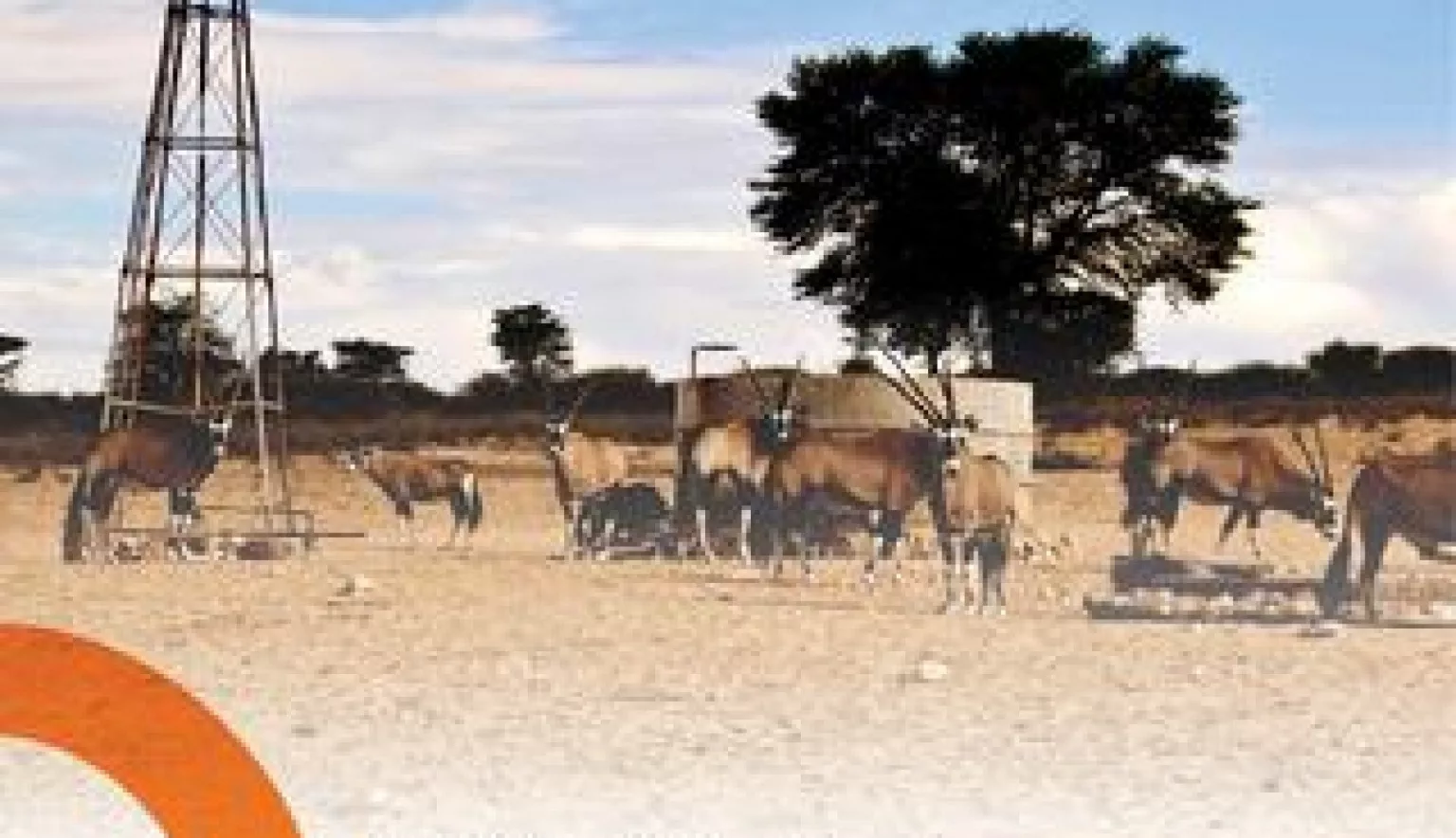 Mangaung Metropolitan Municipality : At the Heart of it