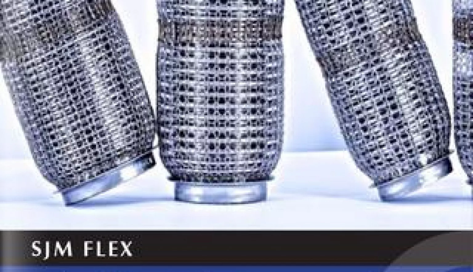 SJM Flex : A Growing Global Presence - Company Profiles