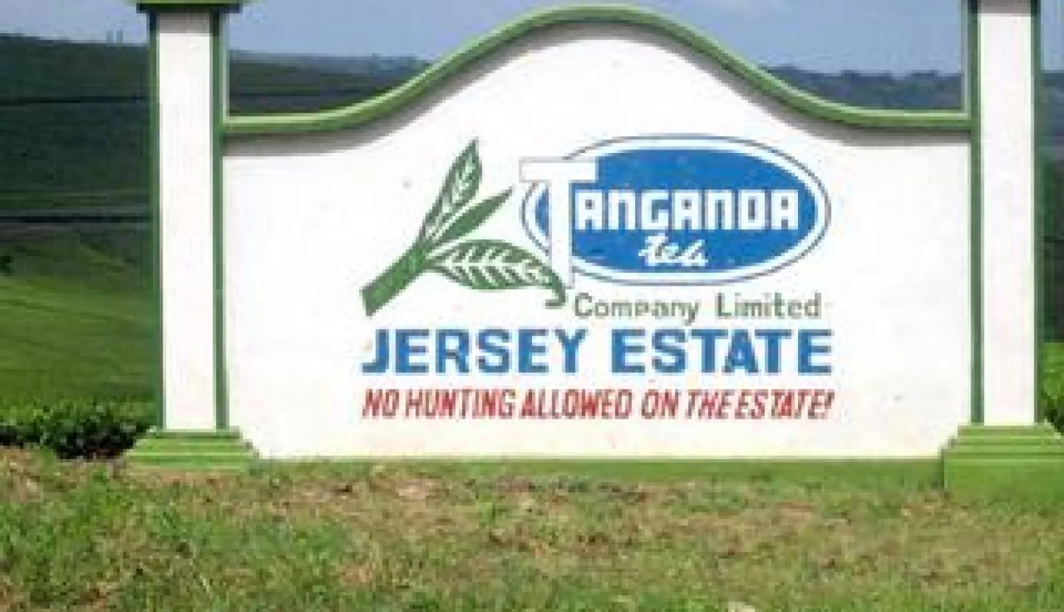 Tanganda Tea Company : What a Beau-Tea - Company Profiles