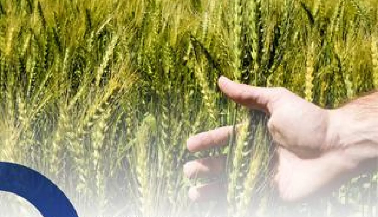 Villa Crop Protection : Dedicated to Crop Protection