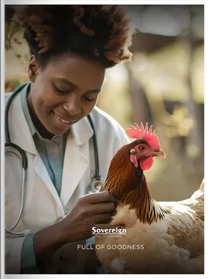 Brochures - Africa Outlook Magazine