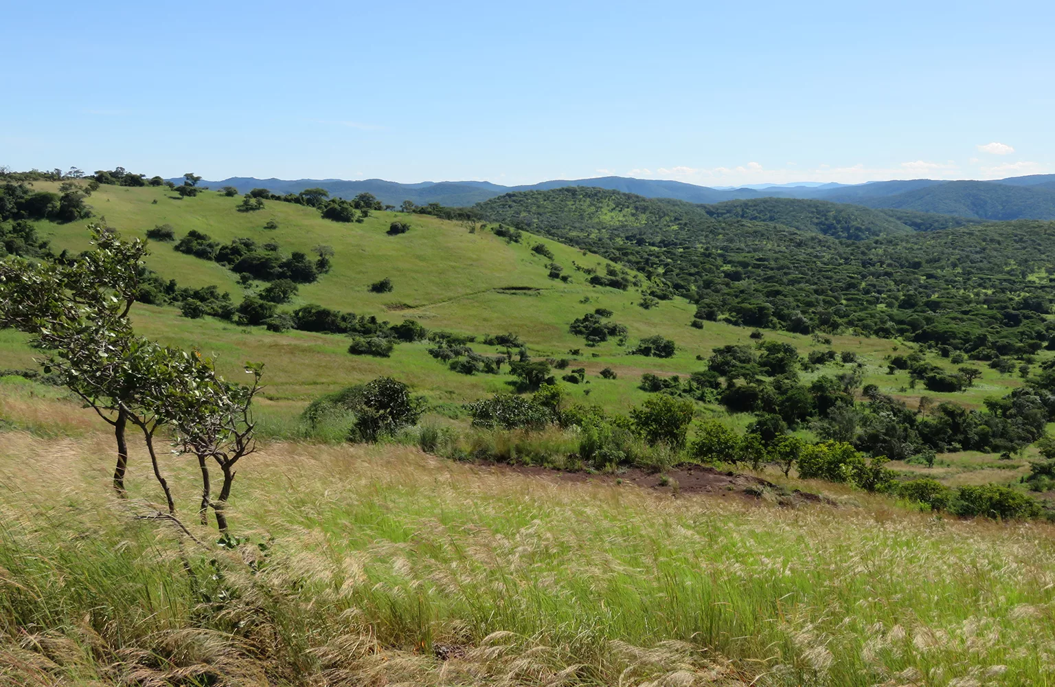 Peak Rare Earths : Reaching the Highest Peak - Africa Outlook Magazine