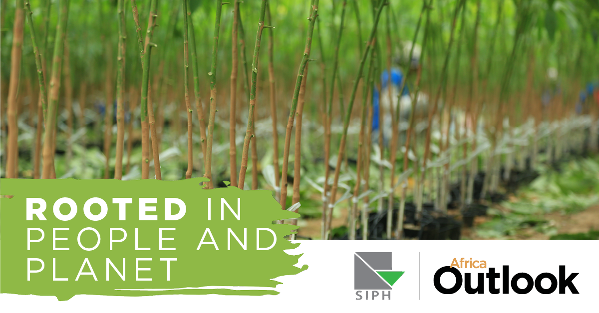 SIPH Brochure